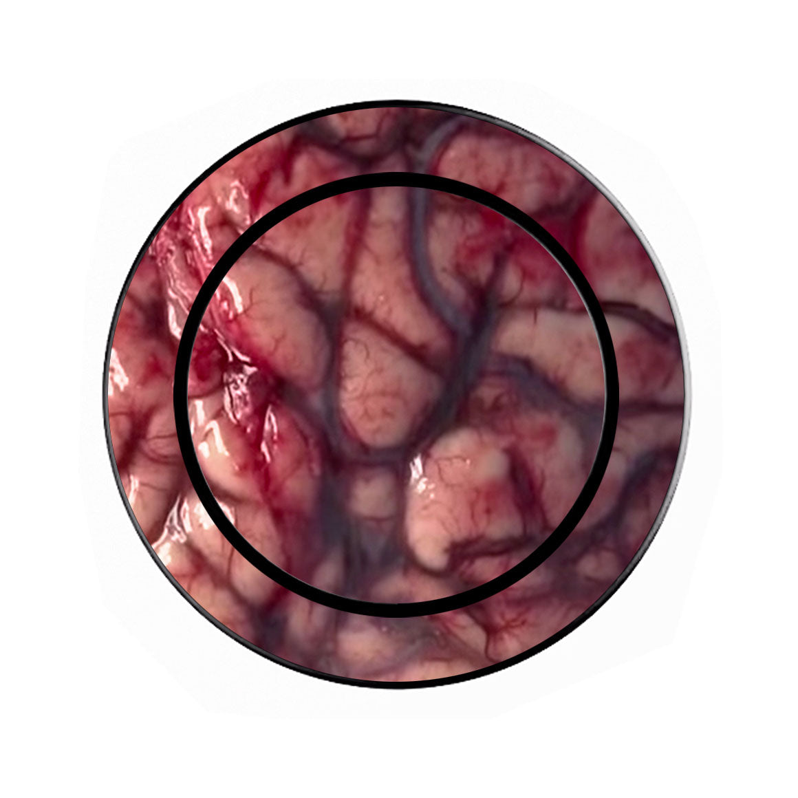 Magnetic Phone Grip with Stand - Horror Series – Slickwraps